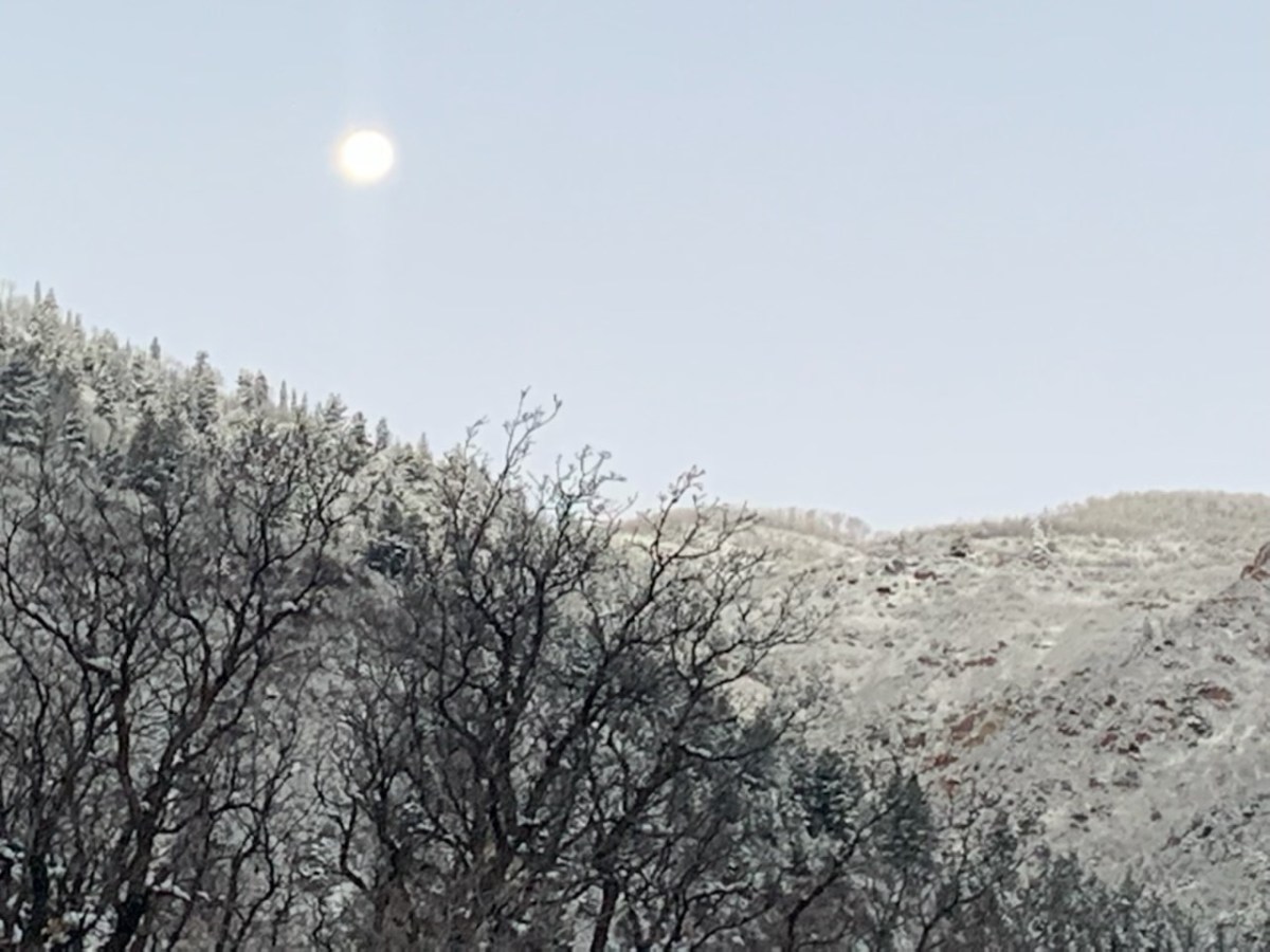 Now Available: Collected Poems by Alexander Palache Gutterman ...